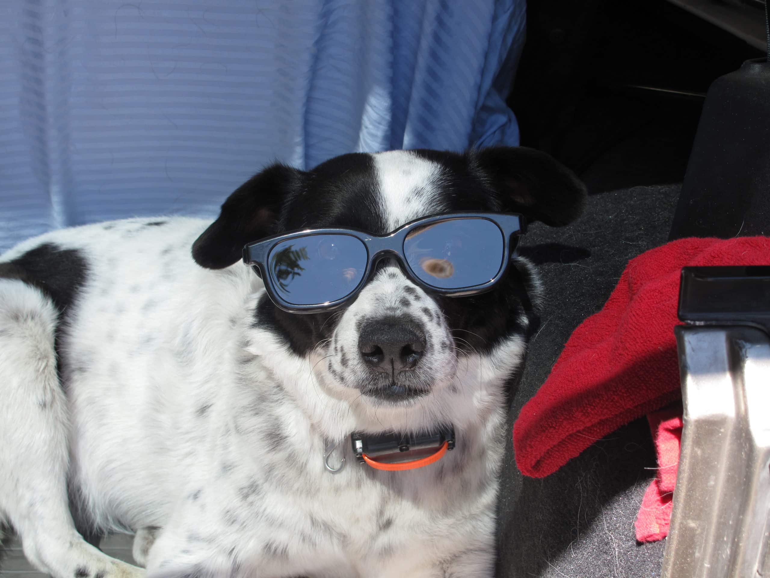 25' KTA 2.0 Alarm System | PDS Radon Supply