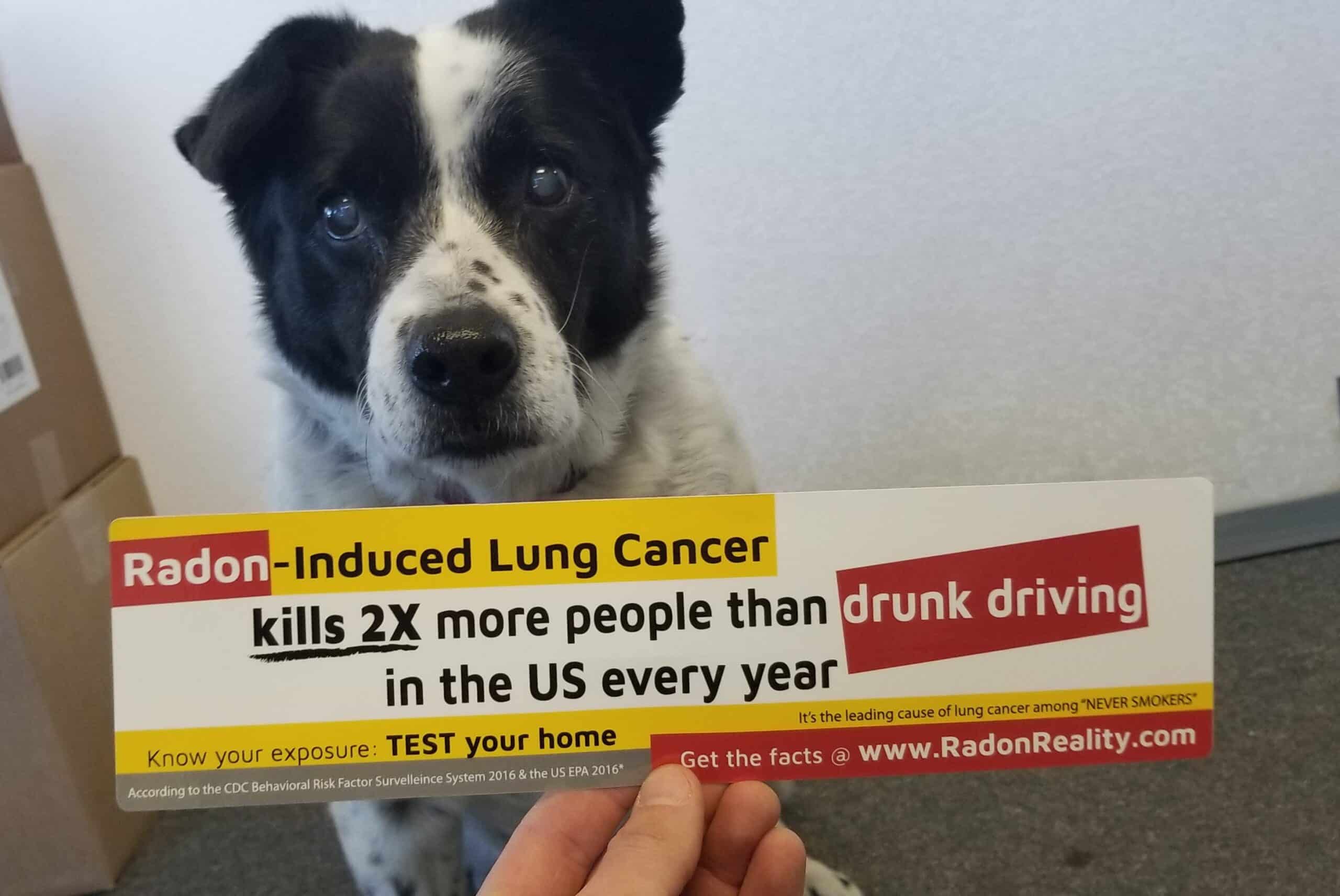 Radon Reality Bumper Sticker | PDS Radon Supply